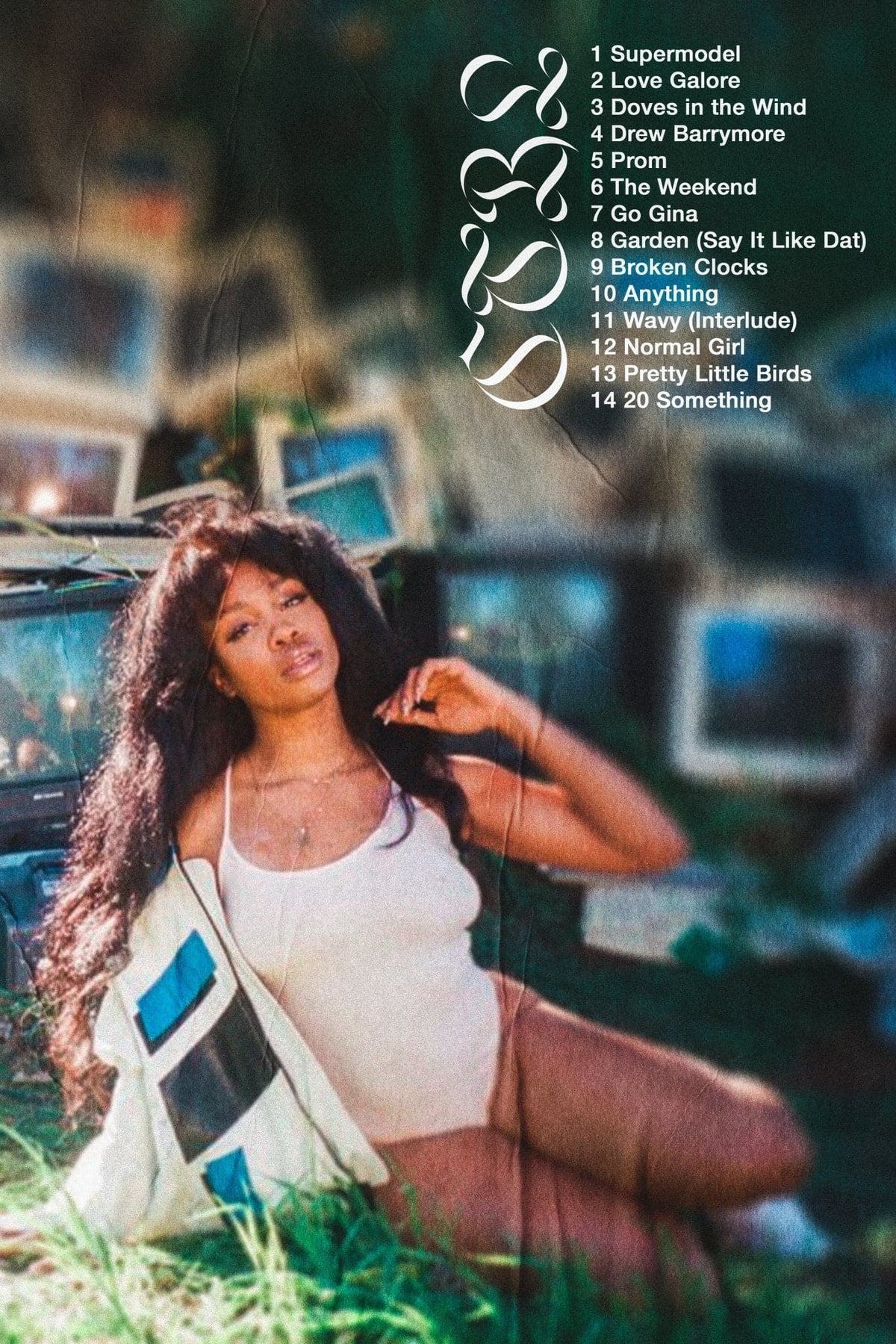 SZA 'CTRL' Pose Poster – Posters Plug
