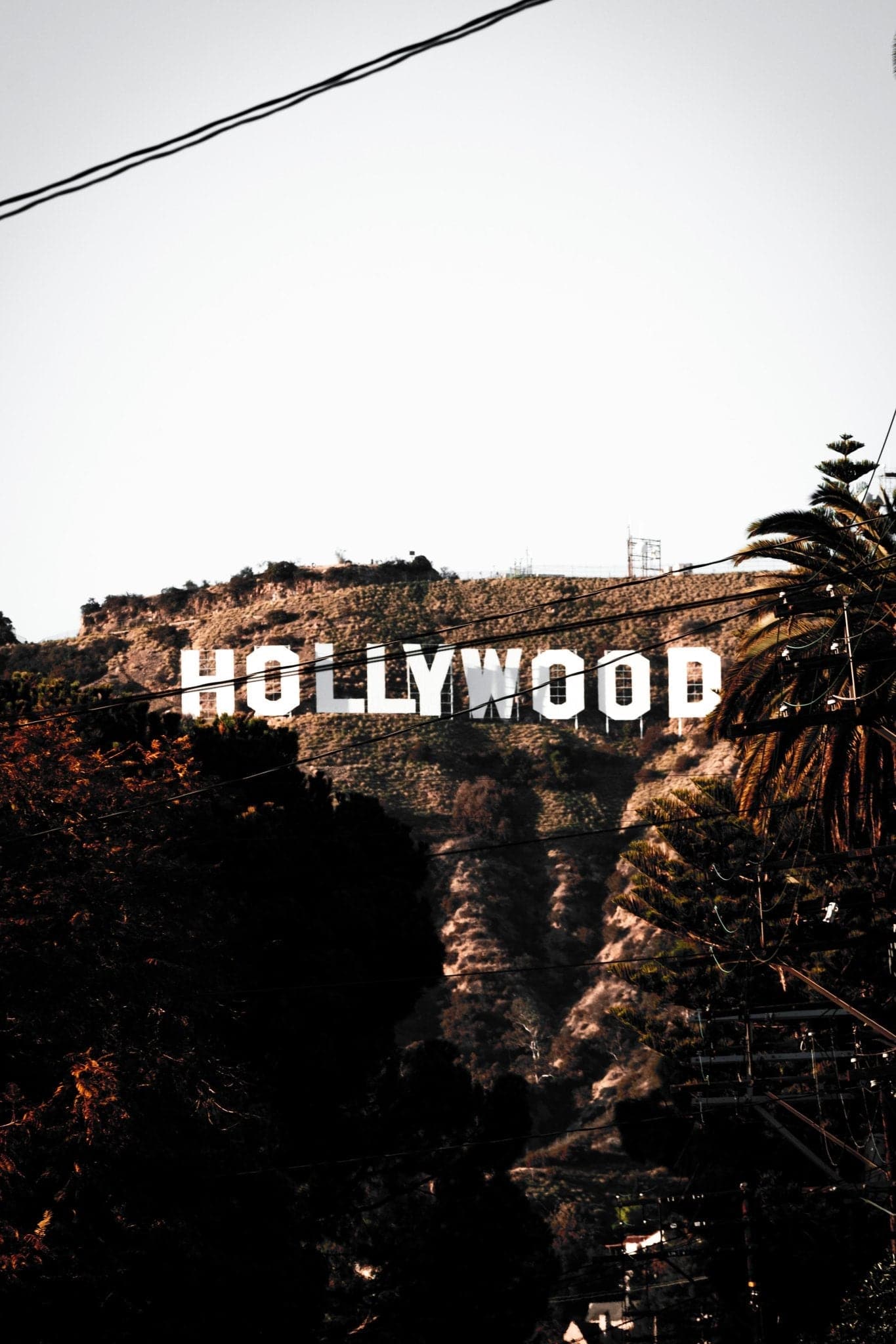 Hollywood Hills Wallpaper Sign 11 Secret Spots To Take *Iconic* Photos